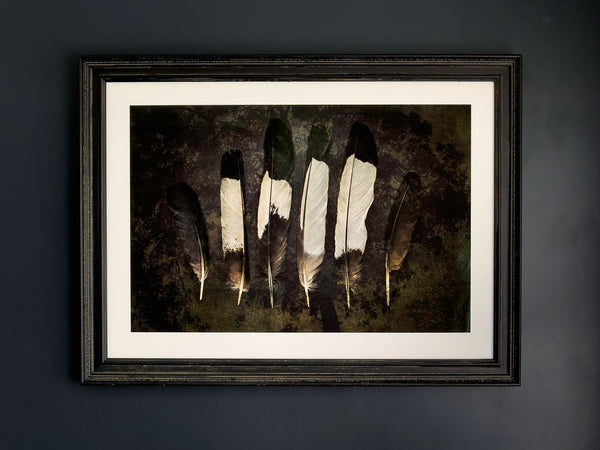 Feathers, LIMITED EDITION 1/1, 67x100cm Art Paper framed in Black Text– Christian Fletcher Gallery