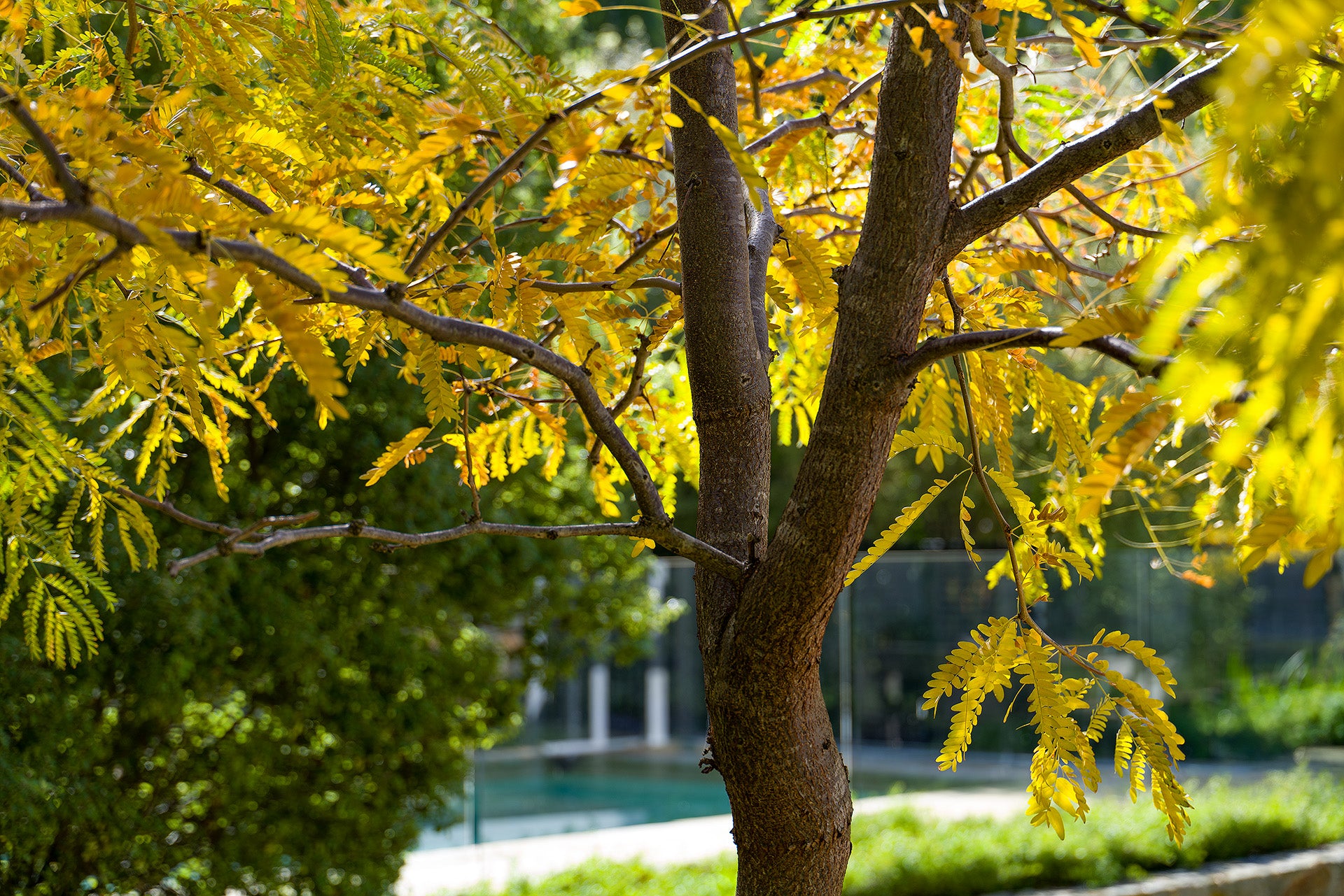 Sunday Times Magazine– Christian Fletcher Gallery