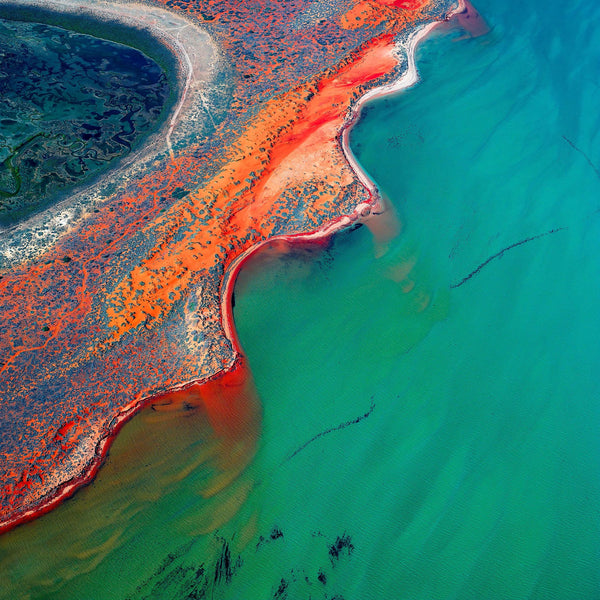 Faure Island, Shark Bay– Christian Fletcher Gallery