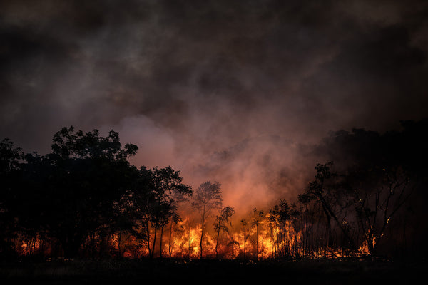 Linton & Kay Galleries exhibtion– Christian Fletcher Gallery