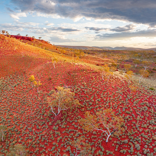 Karijini National Park Limited Edition 75x75cm Stretched Canvas with H ...