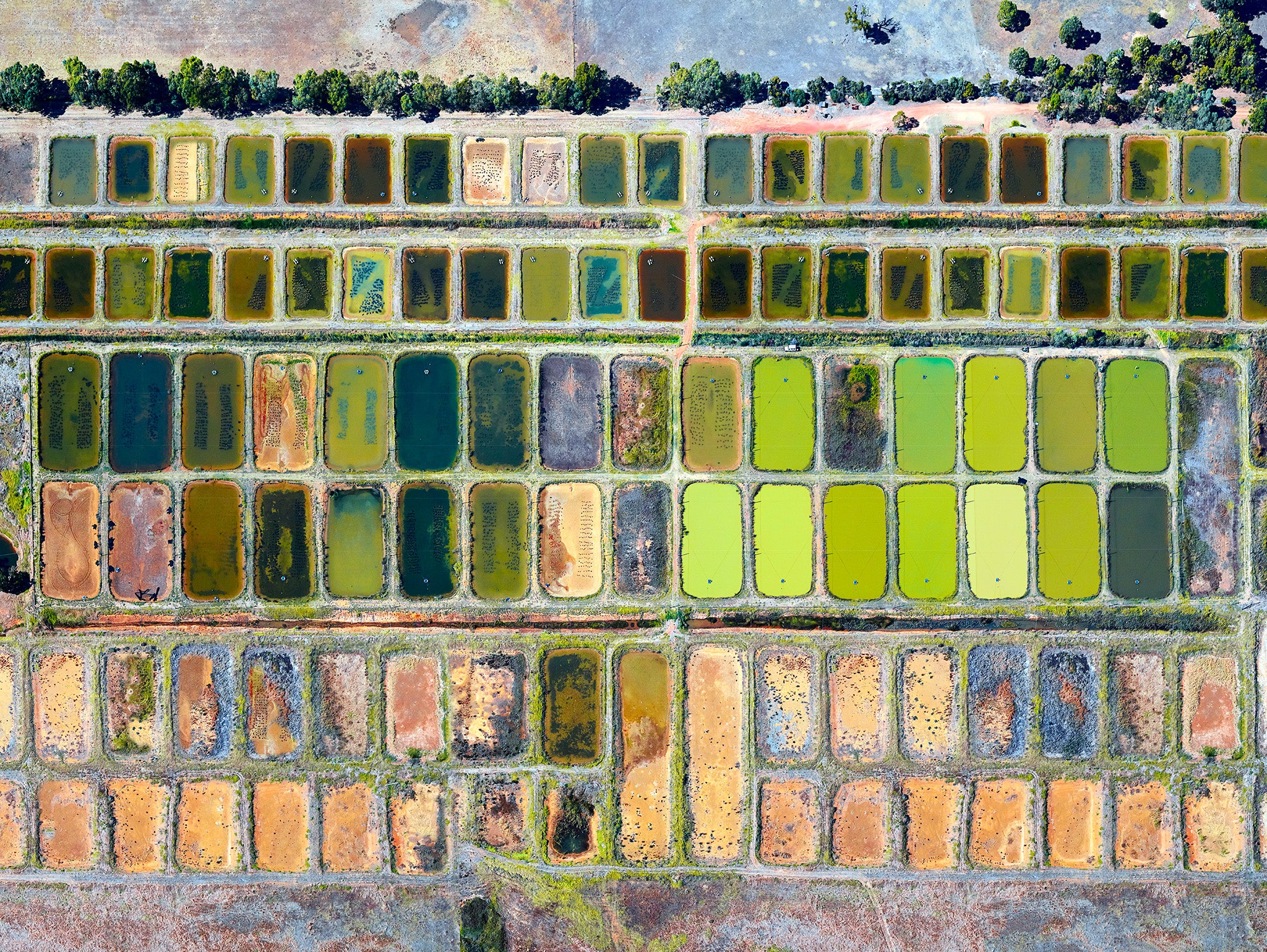 Marron Farm, Capel, Western Australia– Christian Fletcher Gallery