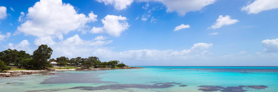 Old Dunsborough 80x240 cm Stretched Canvas with Charcoal Shadow Line F ...