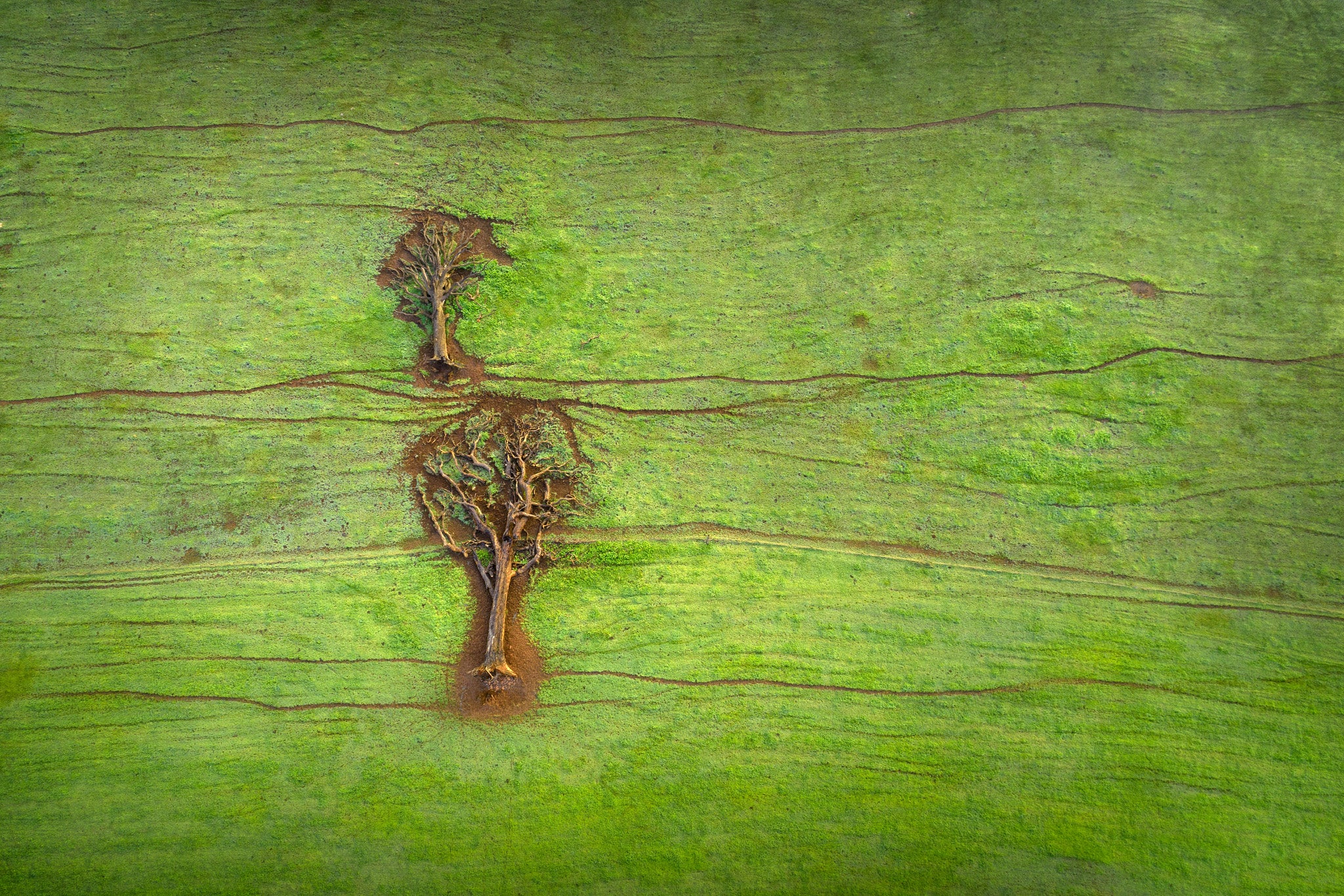 Bridgetown, South Western Australia– Christian Fletcher Gallery